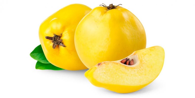 Membrillo - Turismo & Viajes Info Perú